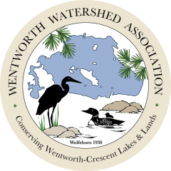 WWA Color logo – Wentworth Watershed Association